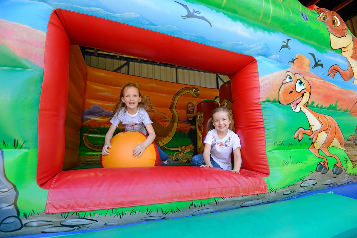 Web1600px Dino Park 0011 - Dino Park and Soft Play